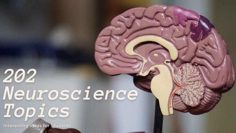 202 Interesting Neuroscience Topics For Students To Write About